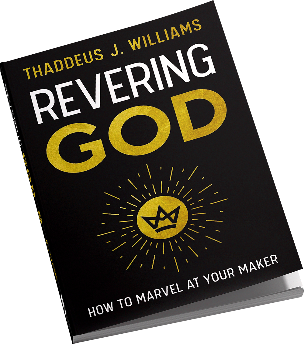 Revering God: How to Marvel at Your Maker by Thaddeus J. Williams